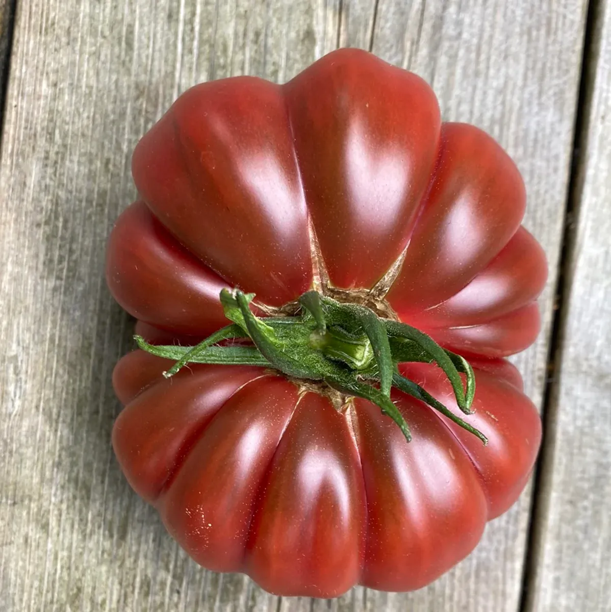 Tomat 'Tim´s Black Ruffles' | Høy kvalitet | Fri frakt over 1000kr