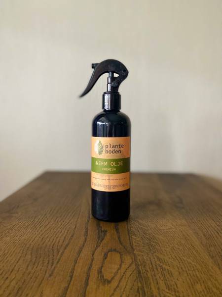 Det er enkelt å dyrke selv med produkter fra dinkjokkenhage.no